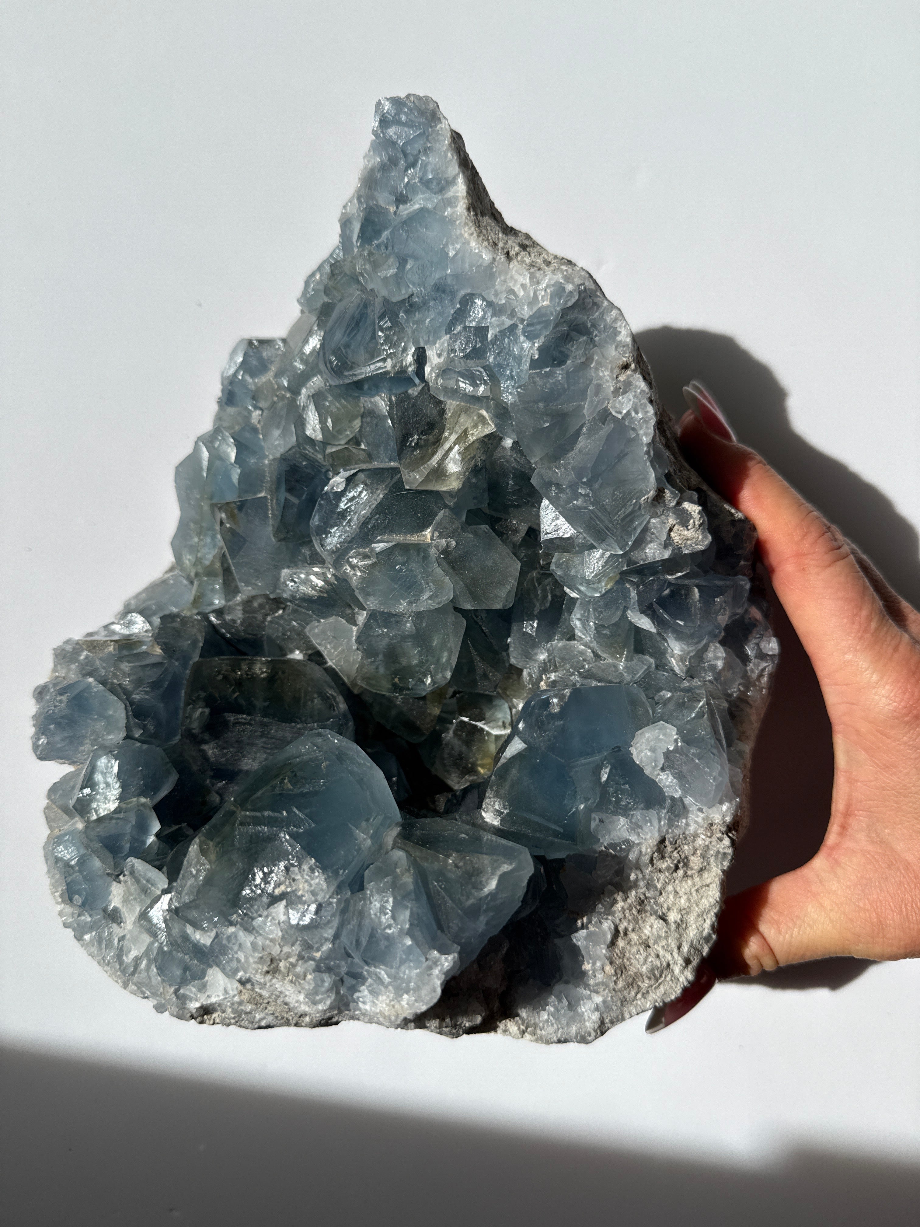 Celestite Statement Geode – My Metaphysical Maven