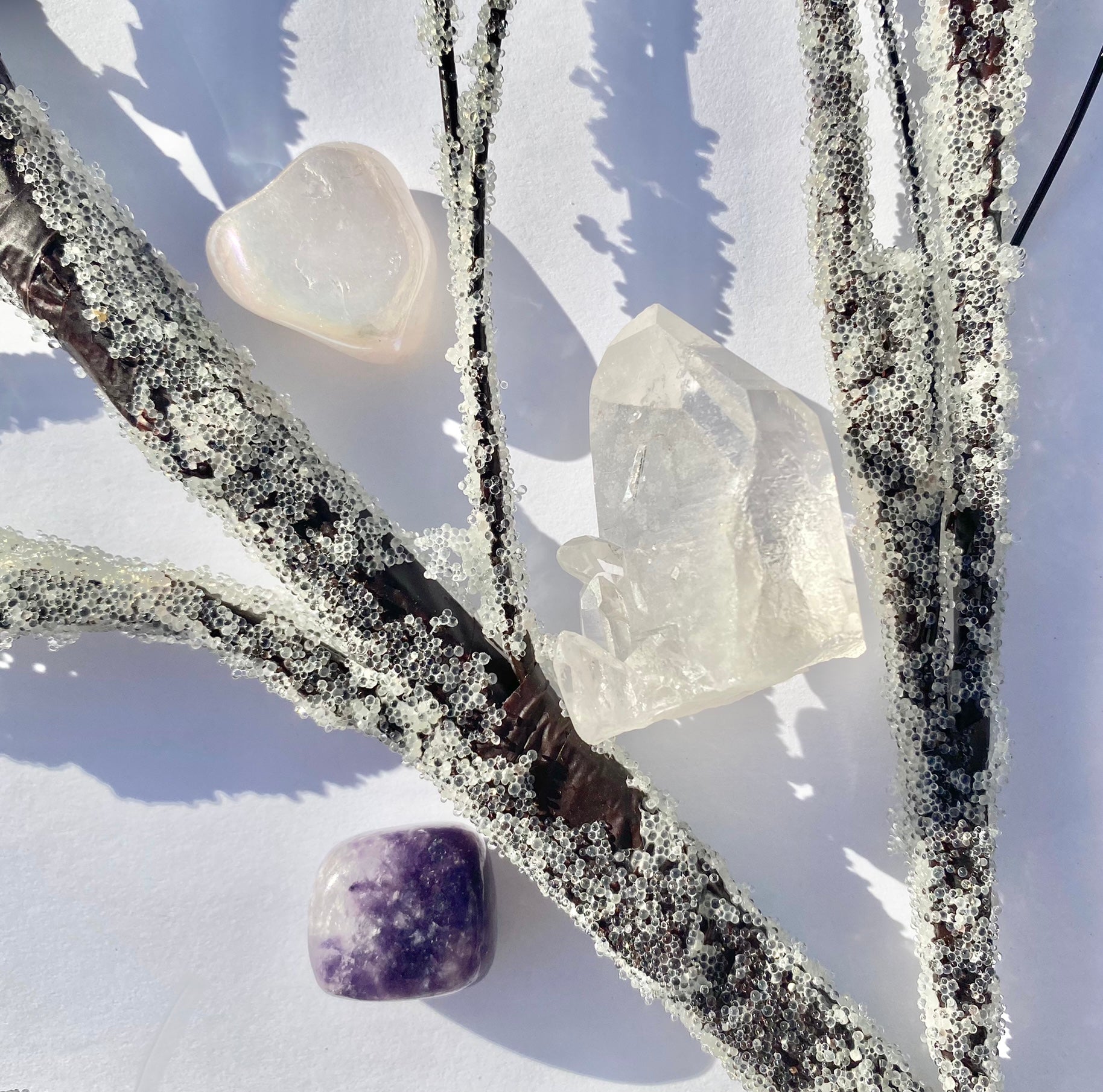 The Taurus Trio – My Metaphysical Maven